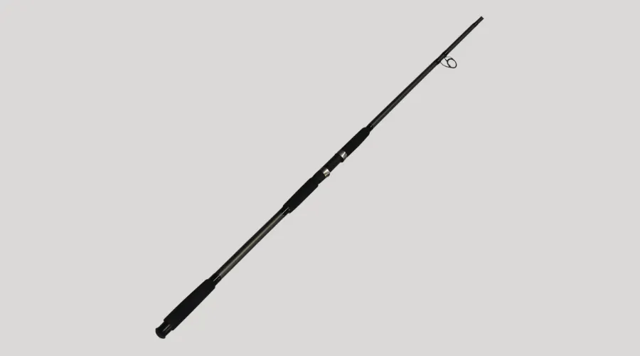 Saltwater Rods Collection For Anglers Of All Ages